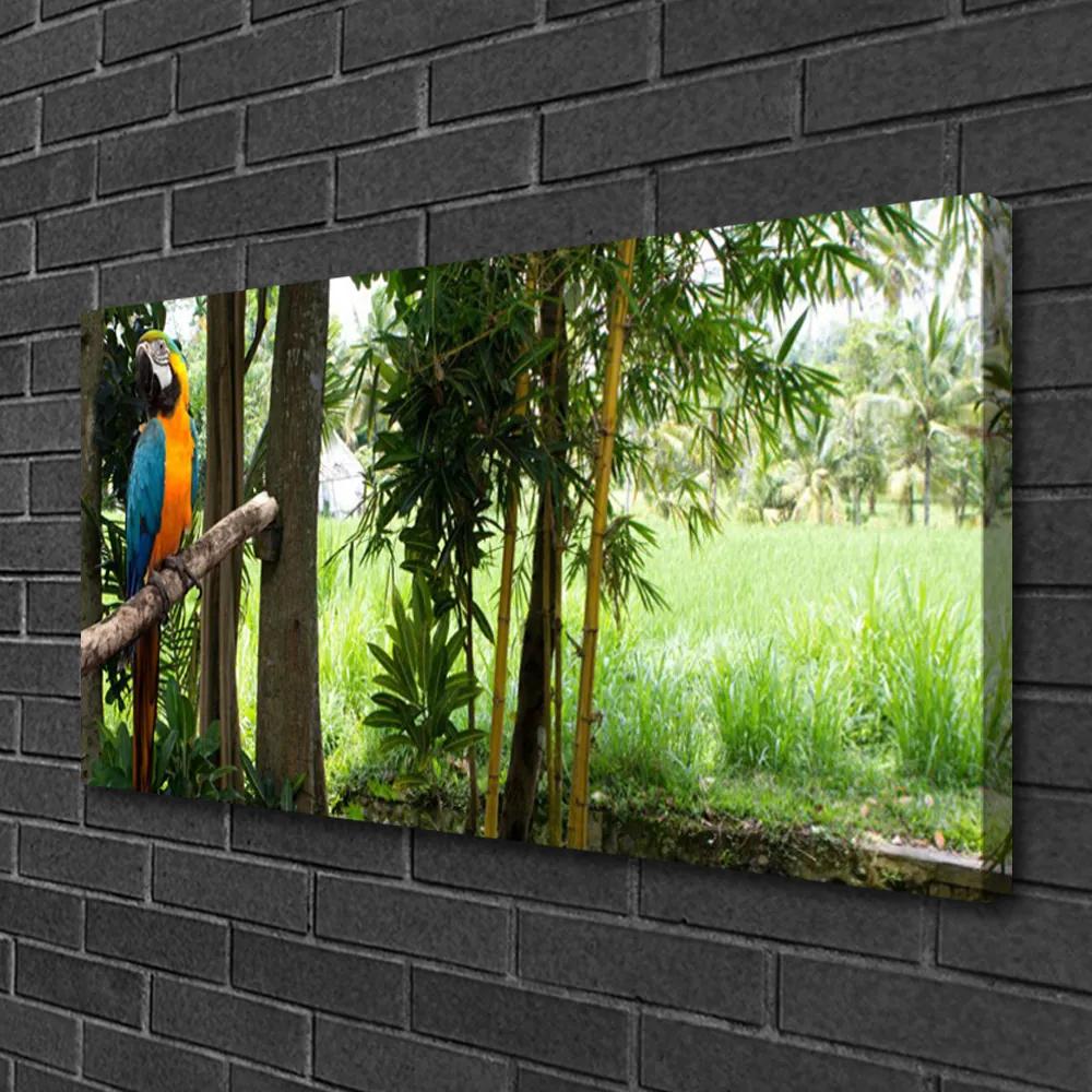 Obraz na plátně Papoušek Stromy Příroda 100x50 cm