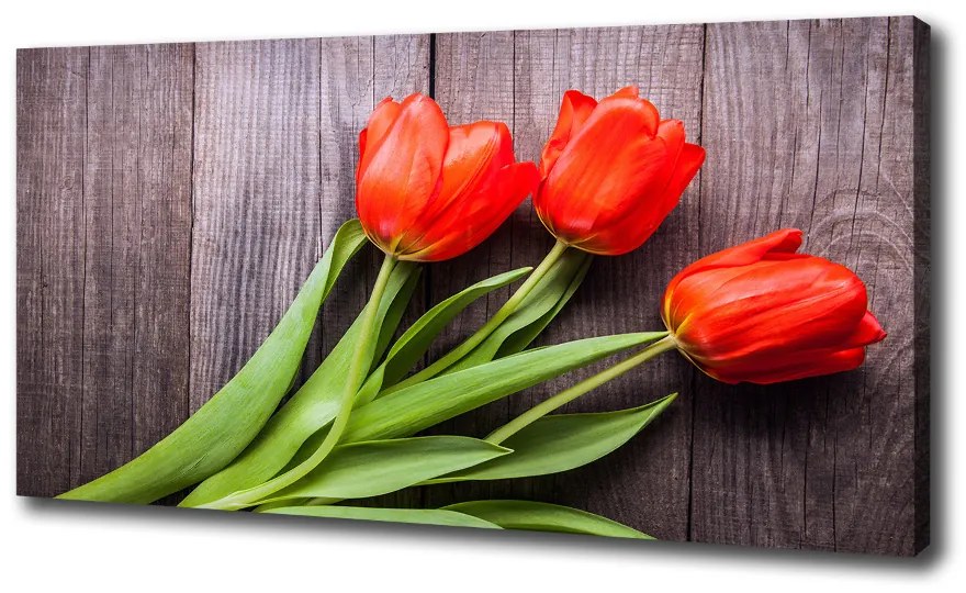 Wallmuralia Foto obraz na plátně Červené tulipány 100x50