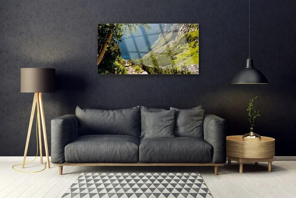 Obraz na skle Hora Les Příroda 125x50 cm
