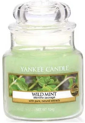 Yankee candle WILD MINT MALÁ SVIEČKA 1542820