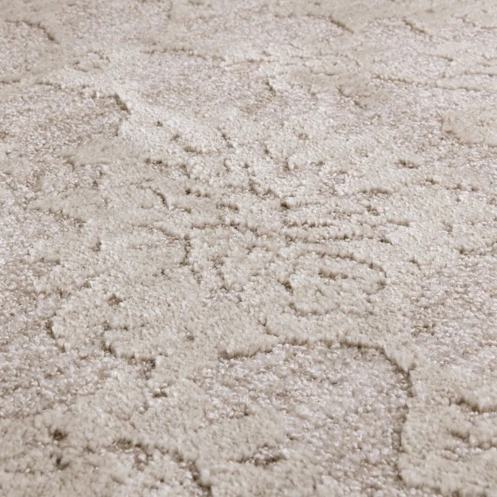 Béžový koberec 240x320 cm Laurent Beige Natural – Asiatic Carpets