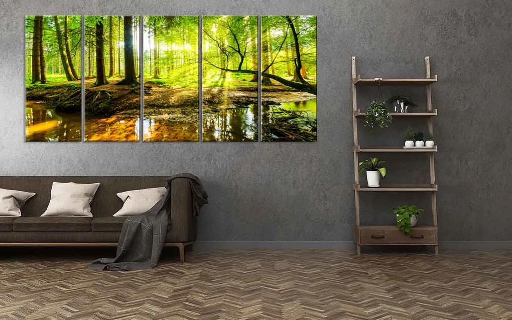 Pětidílný obraz lesní úsvit Velikost (šířka x výška): 100x45 cm