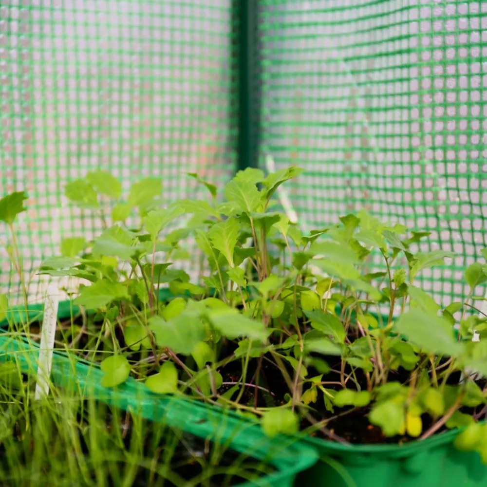 Majowo.cz BALKONOVÝ FOLIOVNÍK B 140 x 70 cm ZELENÝ