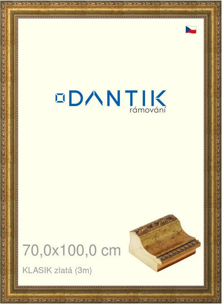 DANTIK rámeček 70x100 | KLASIK zlatá (Plexi Čiré)