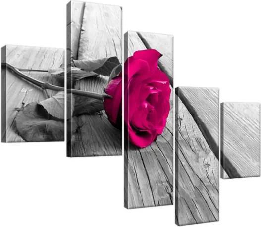 Obraz na plátně Rozkvetlá růže na molu 100x75cm 1856A_5K