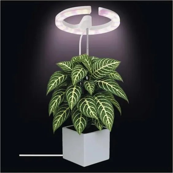Lampa pěstební EMOS Z7902 Grow 8W