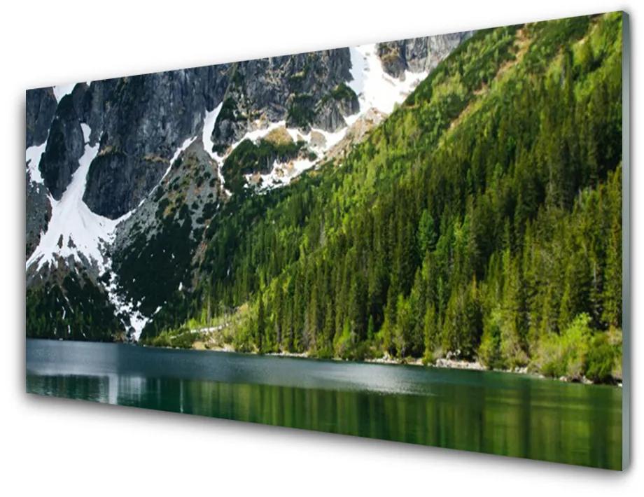akrylový obraz Jezero Les Hory Krajina 125x50 cm