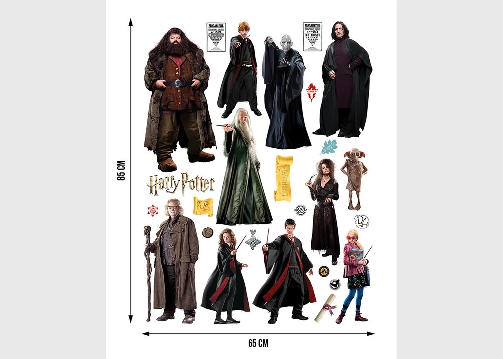Dětská samolepka na zeď Harry Potter | 65 x 85 cm | DDK2335