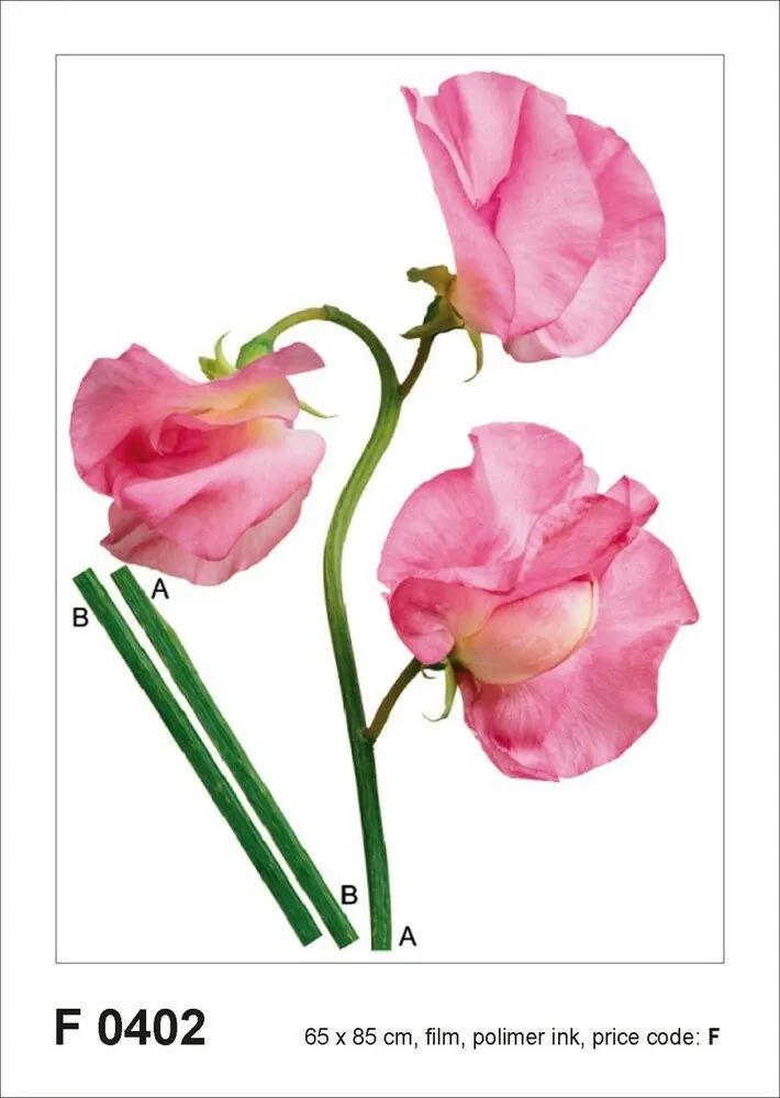 Samolepicí dekorace Růžové květiny F 0402 - 65 x 85 cm