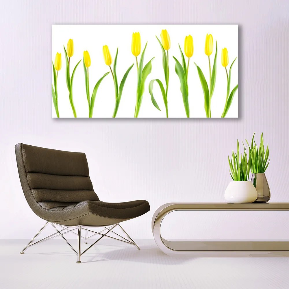 Plexisklo-obraz Žluté Tulipány Květiny 120x60 cm