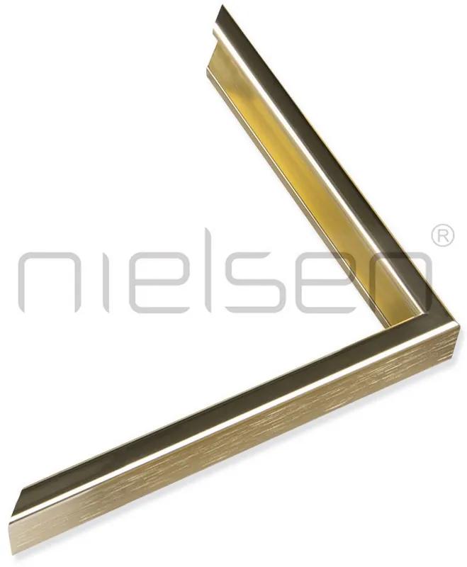 DANTIK - Zarámované zrcadlo - rozměr s rámem cca 40x60 cm z lišty Hliník zlatá lesklá| P269-001 (7269001)