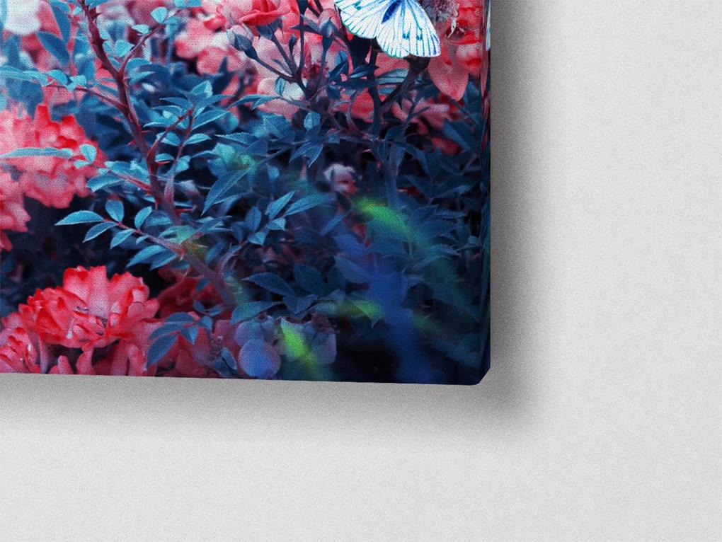 Liox Obraz motýli v úplňku Rozměr: 100 x 65 cm