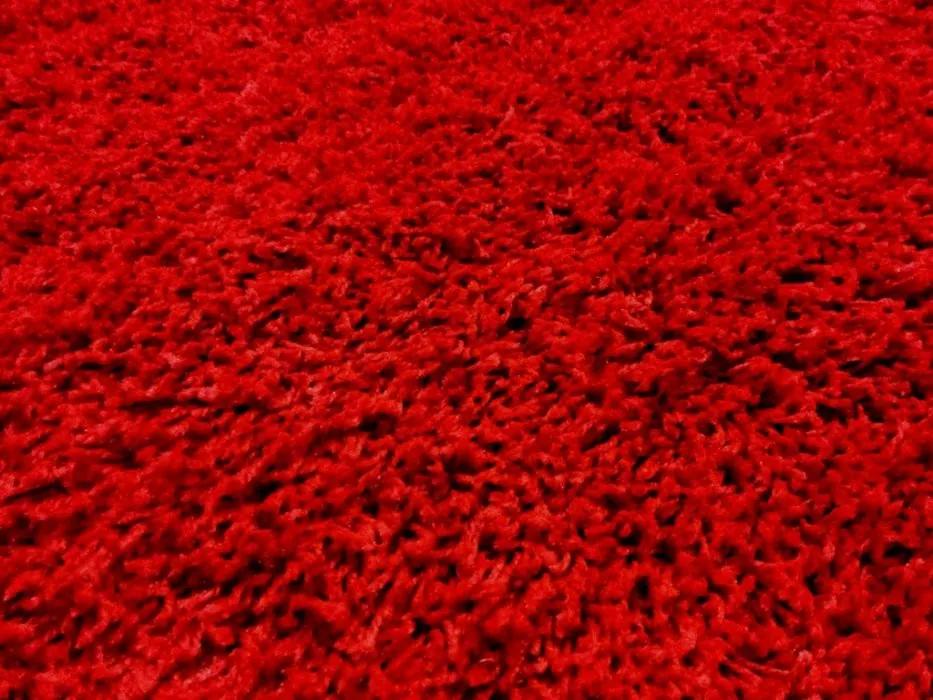 Vopi | Kusový koberec Dream Shaggy 4000 red - 80 x 150 cm