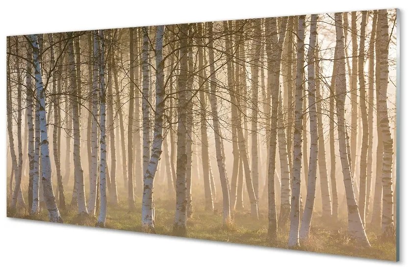 Obraz na skle Sunrise strom les 125x50 cm