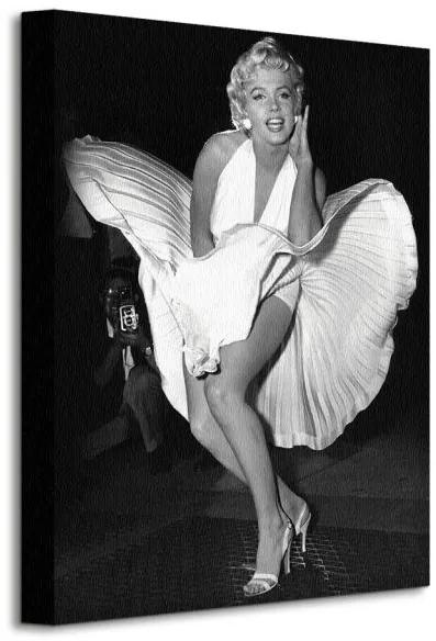 Obraz na plátně Marilyn Monroe (Seven Year Itch) 30x40cm WDC92174