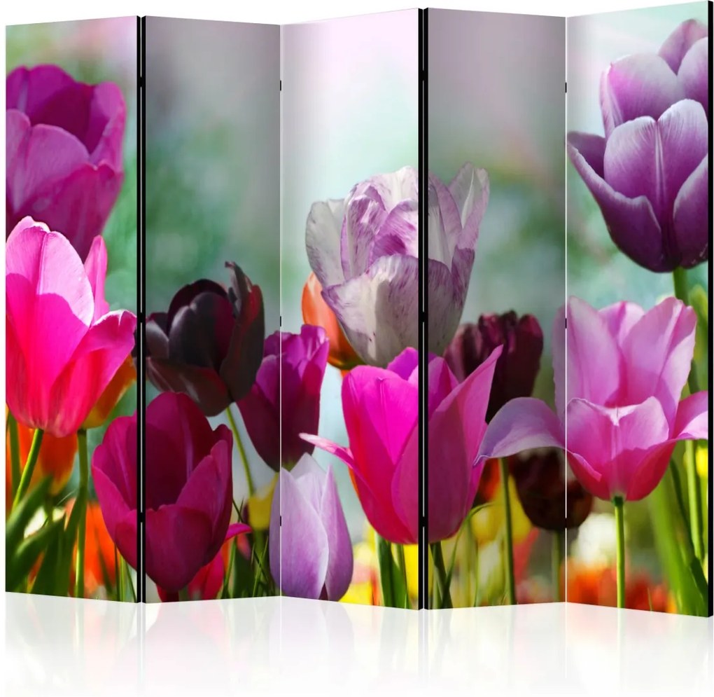 Paraván krásné tulipány II (225x172 cm) - Murando DeLuxe