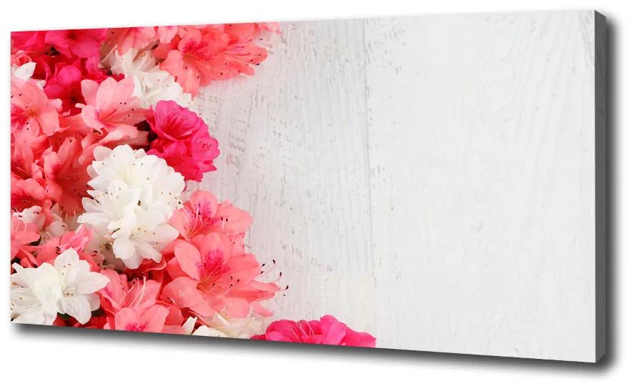 Wallmuralia Foto-obraz canvas do obýváku Květiny 100x50