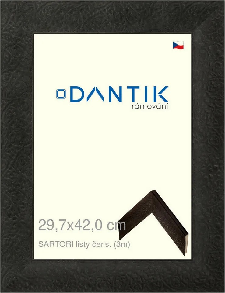 DANTIK rámeček 29,7x42 | SARTORI listy čer.s. (Plexi Čiré)