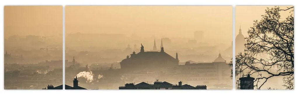 Obraz - Město pod mlhou (170x50 cm)