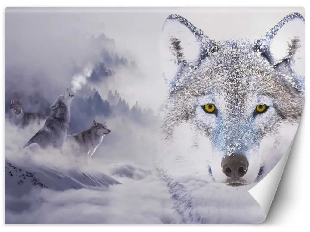 Fototapeta, Vlk v mlze Přírodní zvířata - 150x105 cm