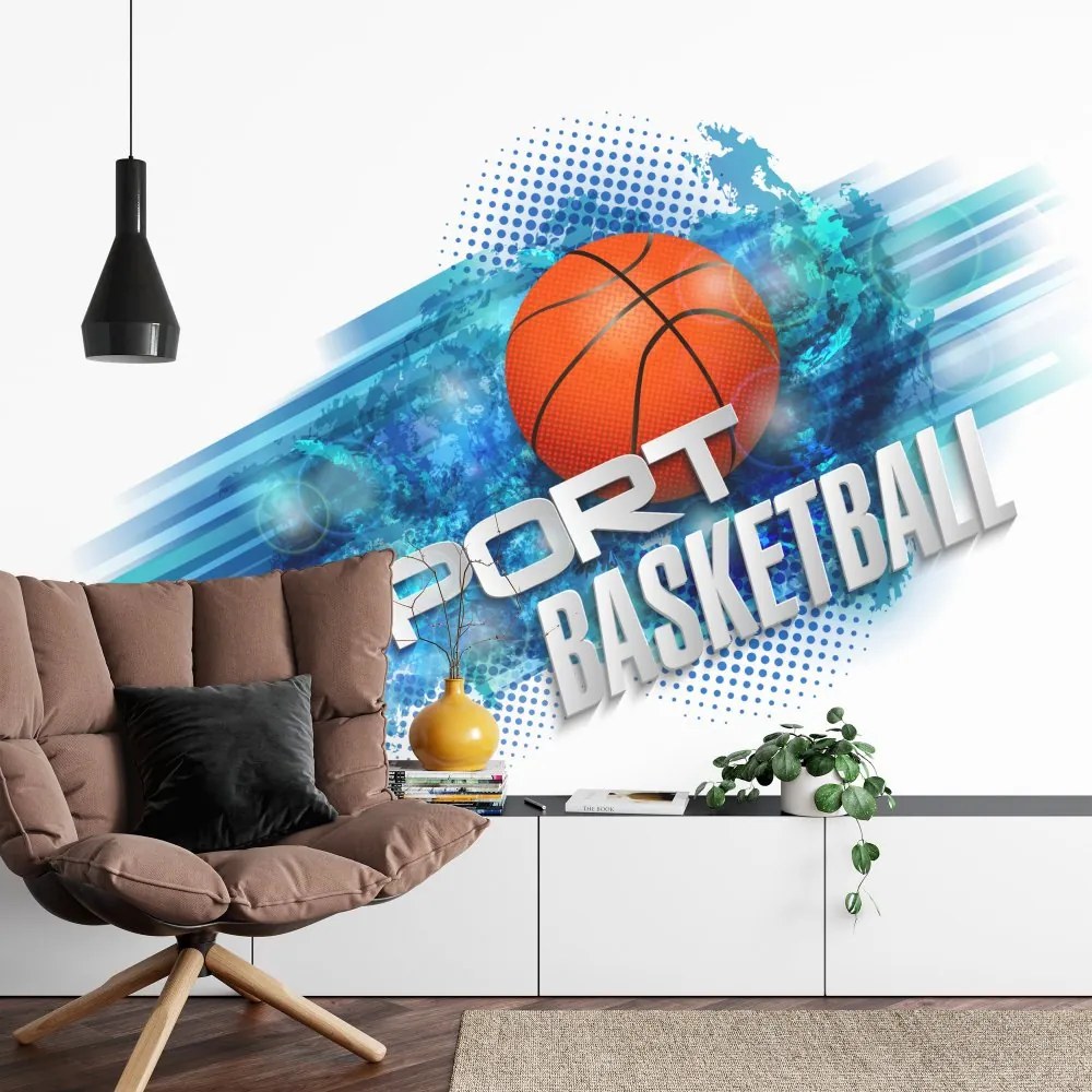 Fototapeta Basketbal V Moderním Stylu Omyvatelný vlies 270x180