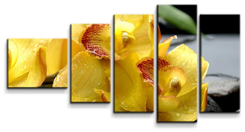 Sablio Obraz - 5-dílný Žluté orchideje - 100x60 cm