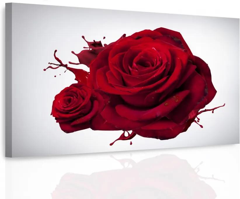 Obraz - Růže (90x60 cm) - InSmile ®
