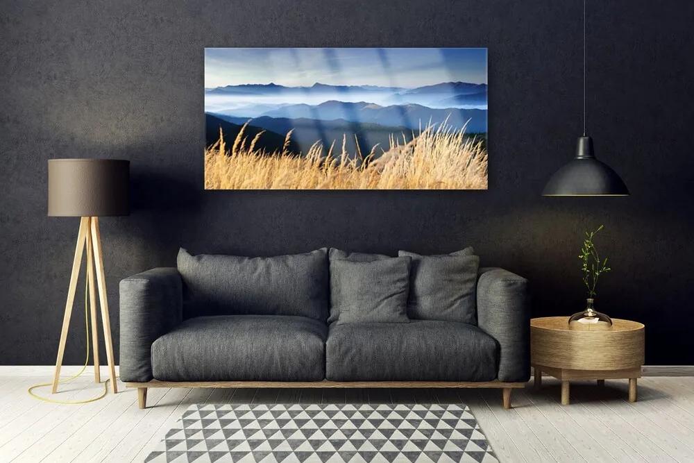 akrylový obraz Pole Krajina 120x60 cm
