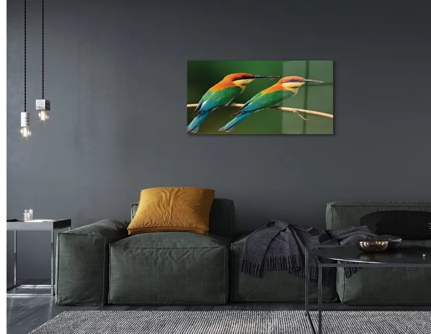 Obraz na skle Barevné papoušek na větvi 100x50 cm