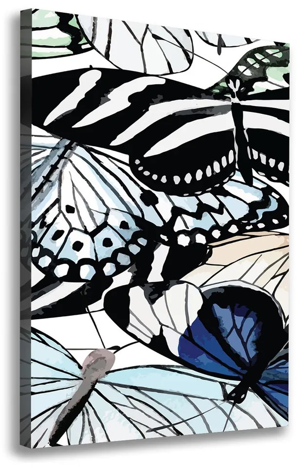 Wallmuralia Moderní fotoobraz canvas na rámu Motýli 70x100 cm