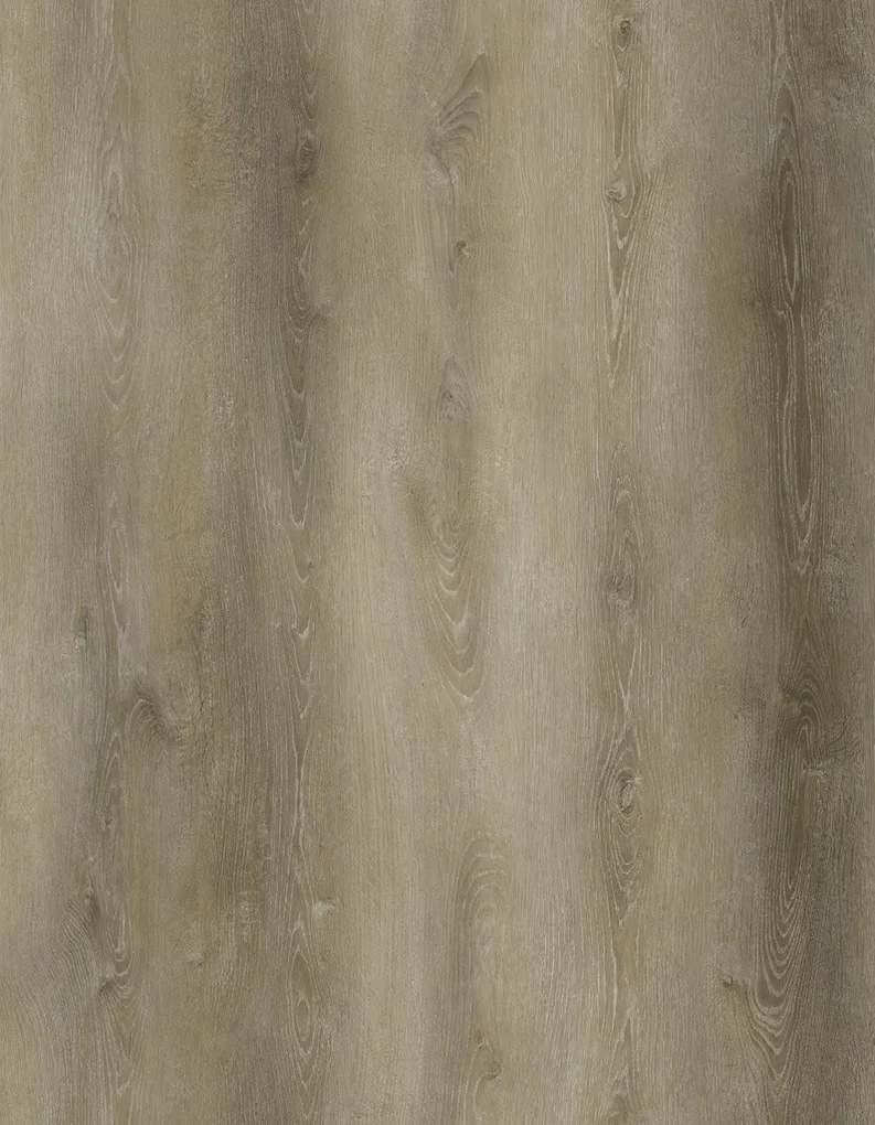 Oneflor, Vinylová podlaha lepená ECO 30 071 Traditional Oak Natural Light - dub, 1219,2 x 185 mm