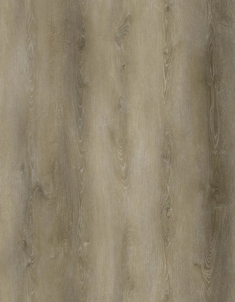 Oneflor Vinylová podlaha lepená ECO 30 071 Traditional Oak Natural Light  - dub - Lepená podlaha