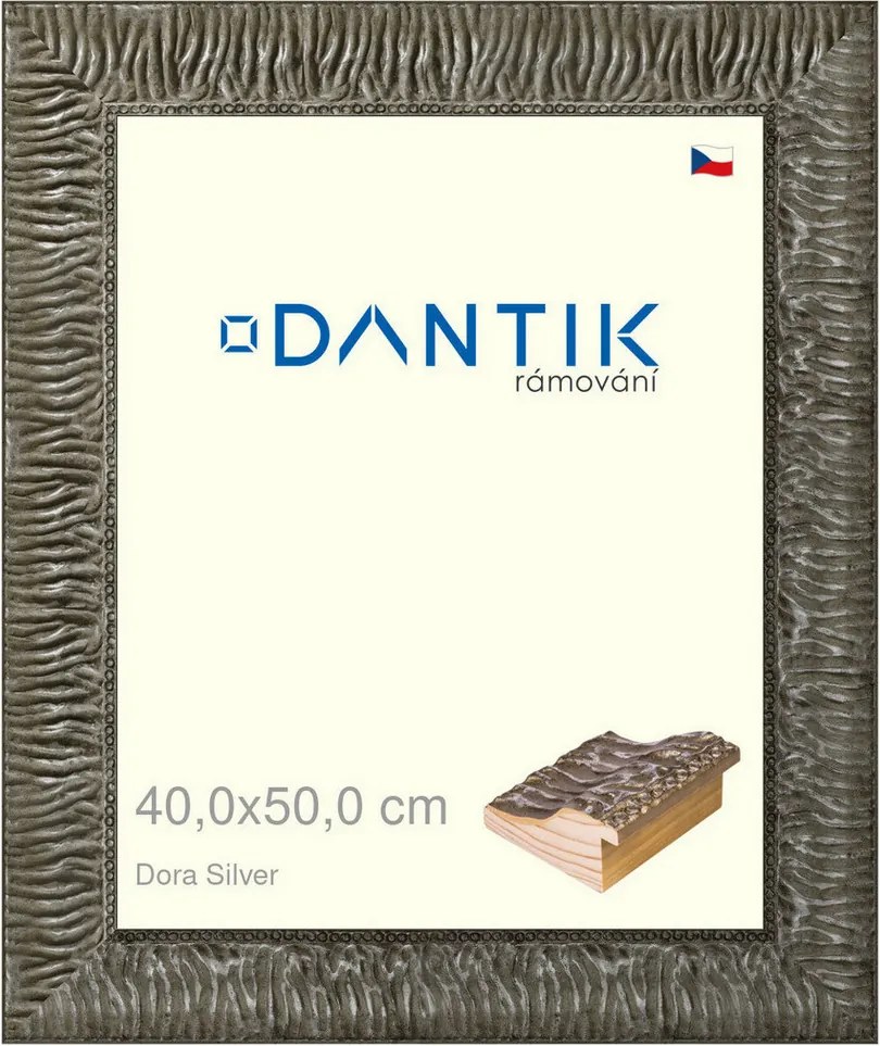 DANTIK rámeček 40x50 | Dora Silver (Plexi Čiré)