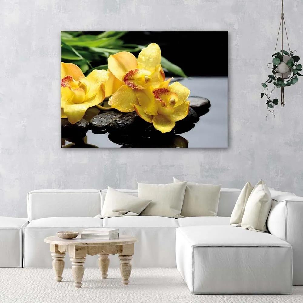 Obraz na plátně Orchidej Žlutý květ - 90x60 cm