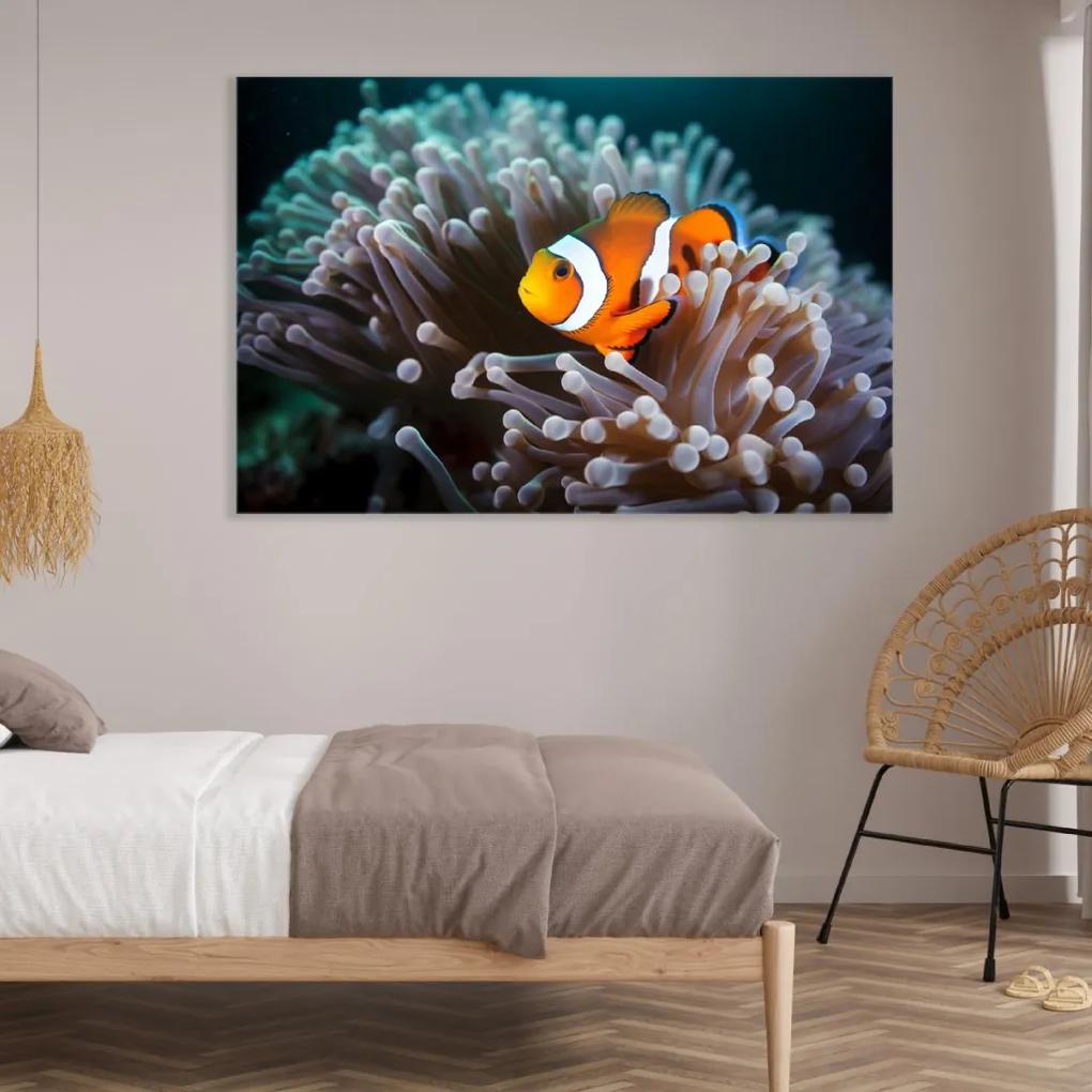 Obraz na plátně - Klaun očkatý u korálového útesu FeelHappy.cz Velikost obrazu: 180 x 120 cm
