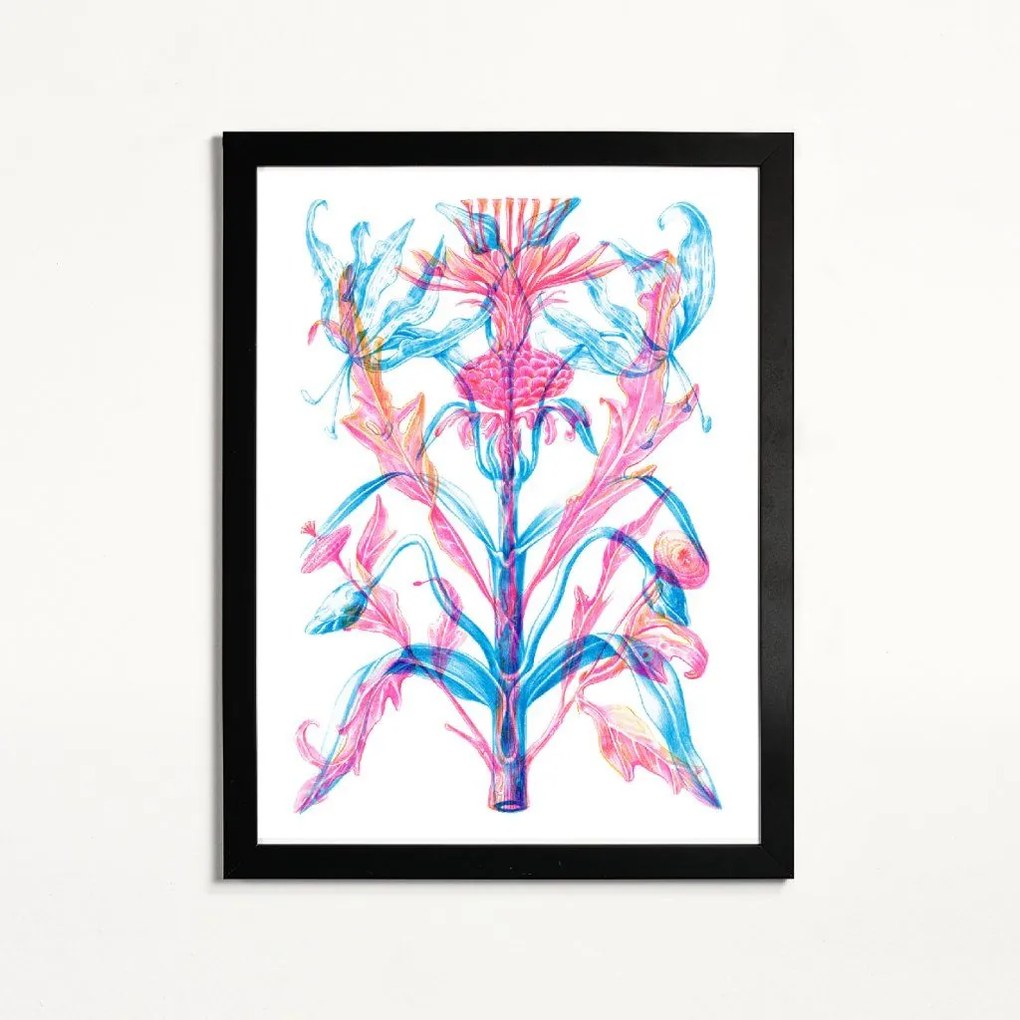 Filip Šenkeřík | Hybrid I – Liliantaurea Centaureum Rám: Bílý, Velikost: 60 x 40 cm