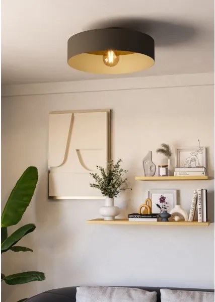 Eglo 901745 - Stropní svítidlo DUAIA 1xE27/40W/230V šedá