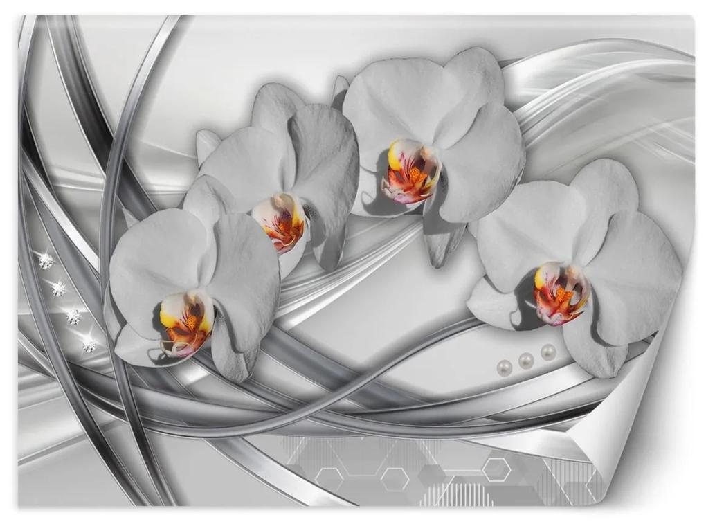 Fototapeta, Abstraktní orchideje - 100x70 cm
