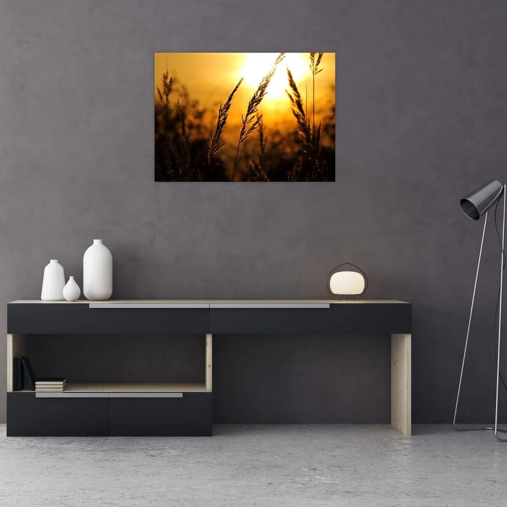 Skleněný obraz zapadajícího slunce (70x50 cm)