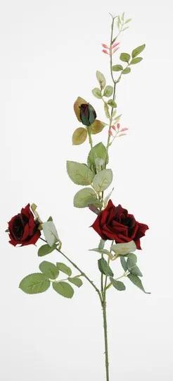 Růže rudá trs 90cm, květ 7 a 9cm