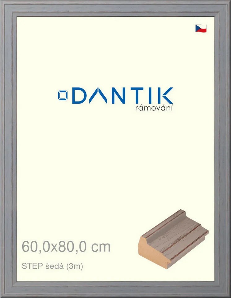 DANTIK rámeček 60x80 | STEP šedá (Plexi Čiré)