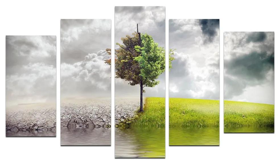 Vícedílný obraz A Tree By The Water 110x60 cm