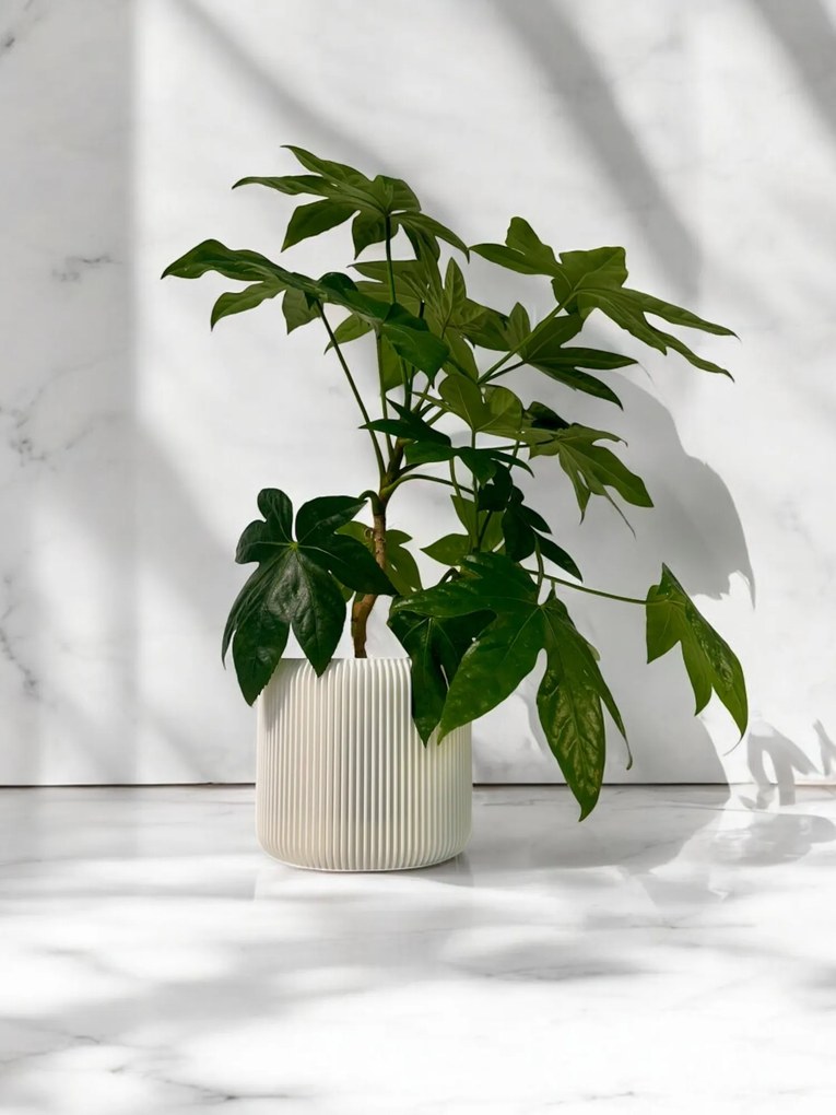 Plantbee Květináč Umbert 12cm bílá