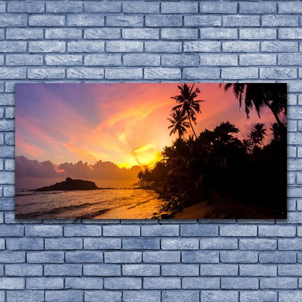 akrylový obraz Moře Slunce Palmy Krajina 120x60 cm