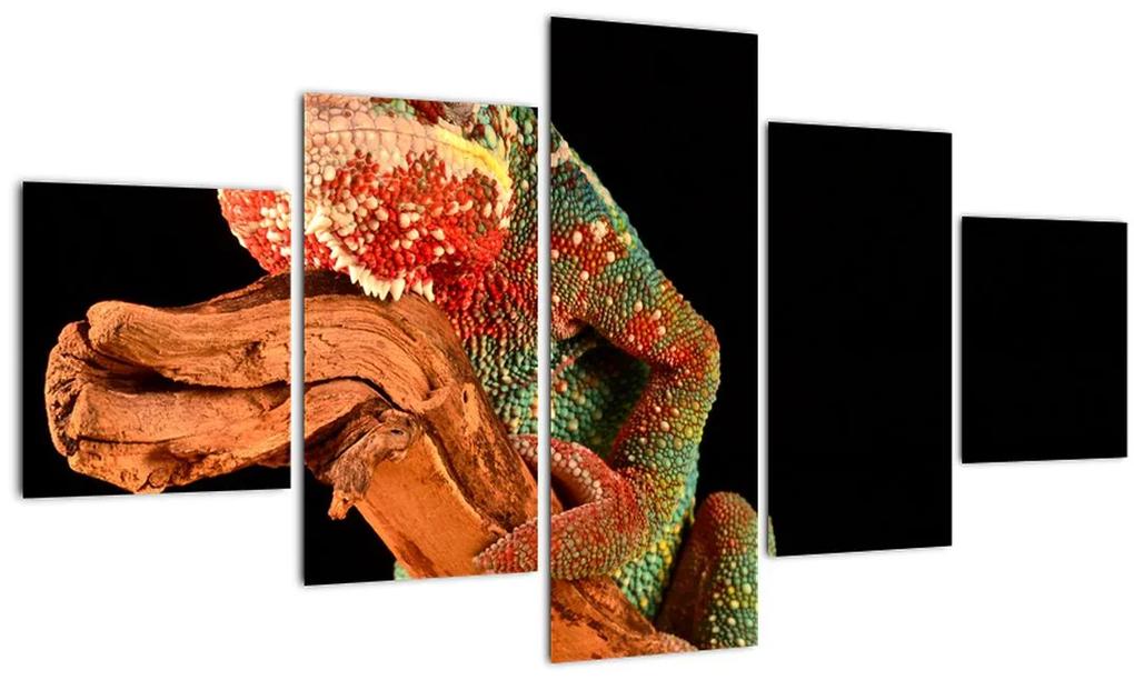 Obraz chameleona na větvi (125x70 cm), 40 dalších rozměrů