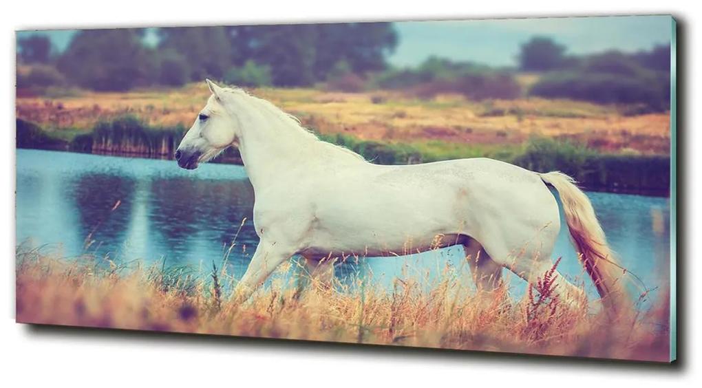 Fotoobraz na skle Bílký kůň jezero