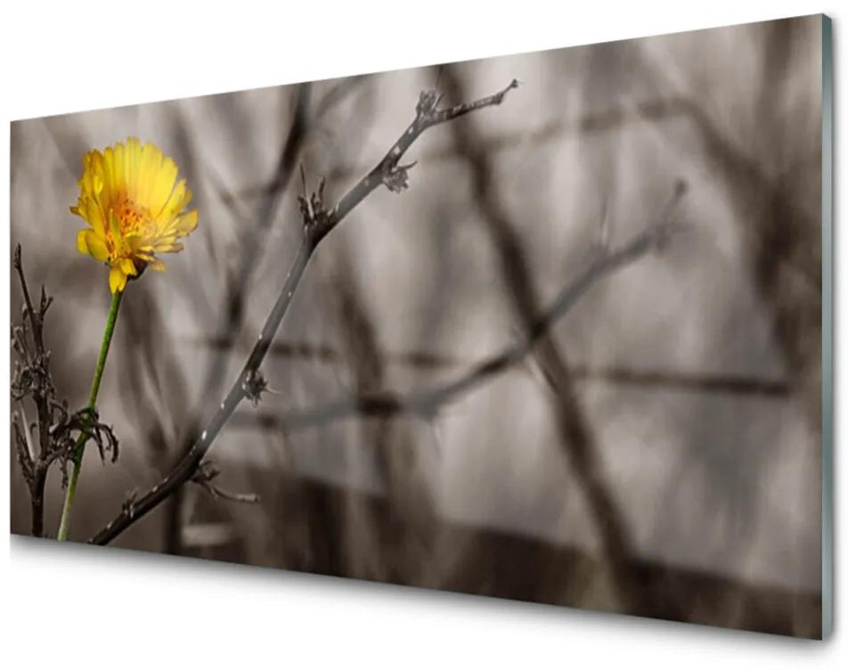 Obraz na skle Skleněný Větev Květ
