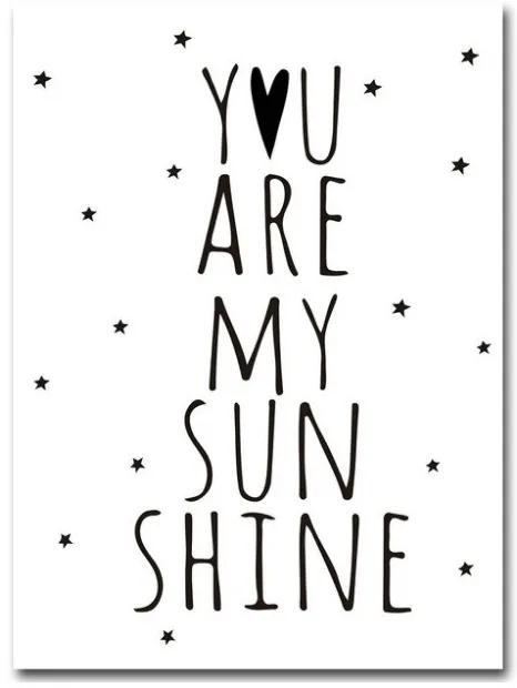Černobílý plakát You are my sunshine