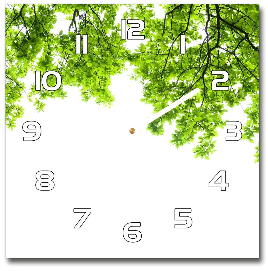 Wallmuralia Skleněné hodiny čtverec Listí dubu 30x30 cm