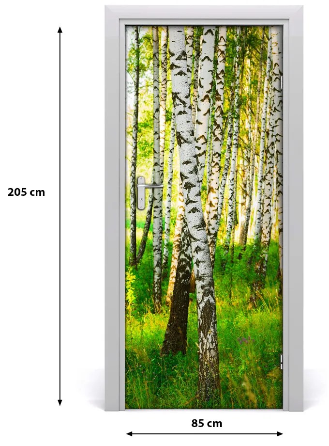 Fototapeta na dveře samolepící břízový les 85x205 cm